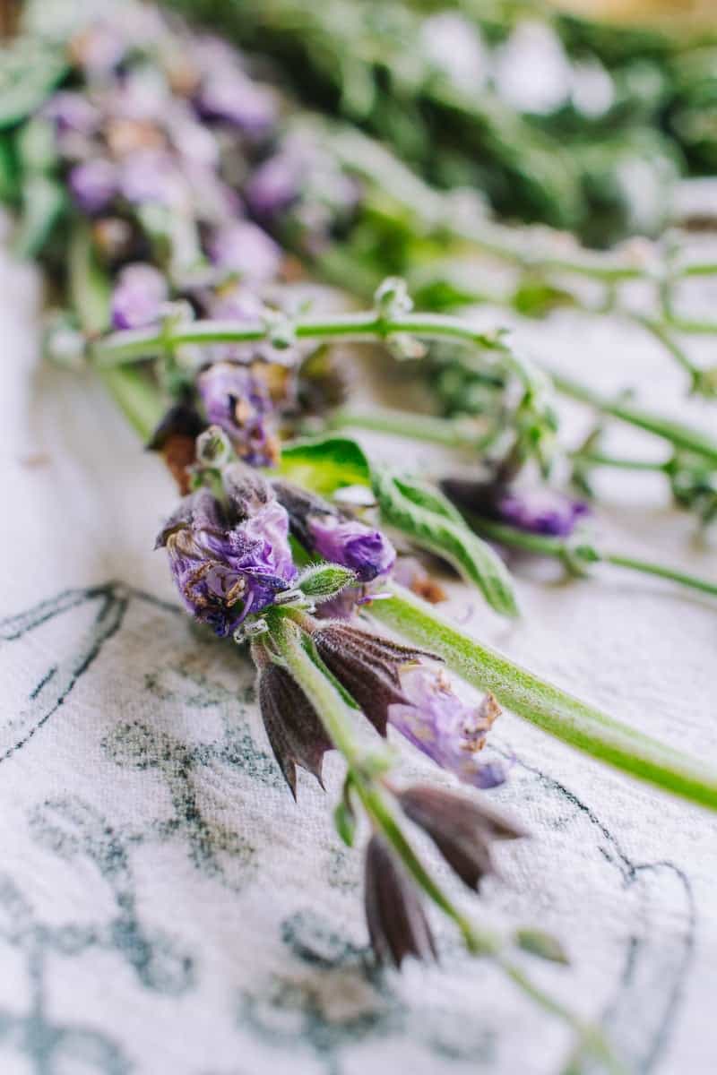 5 Ingredient Keto Lavender Sage Lemonade Recipe - A Full Living