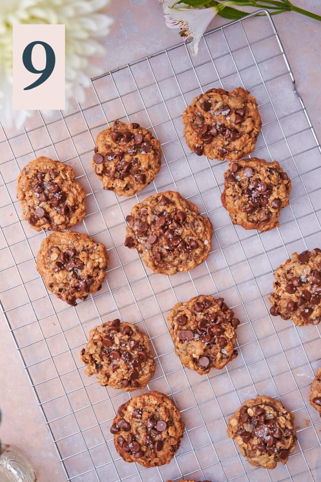 Muesli Cookies - A Full Living